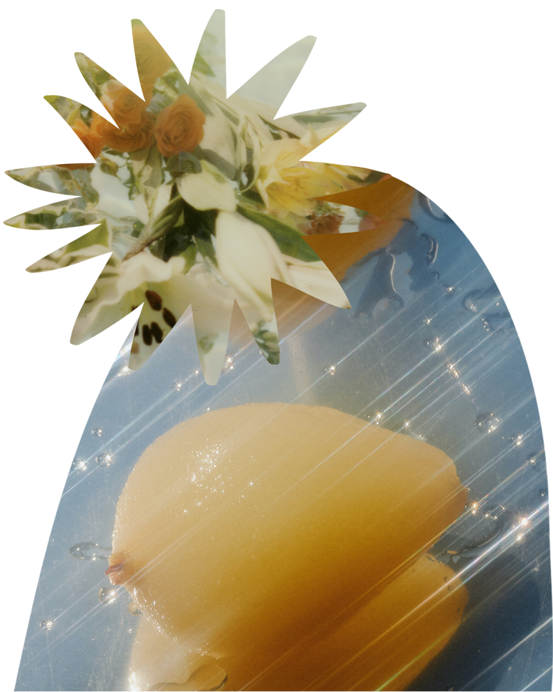 Airplane Mode "Sunshine Tea" – Barbari Botanical Co.